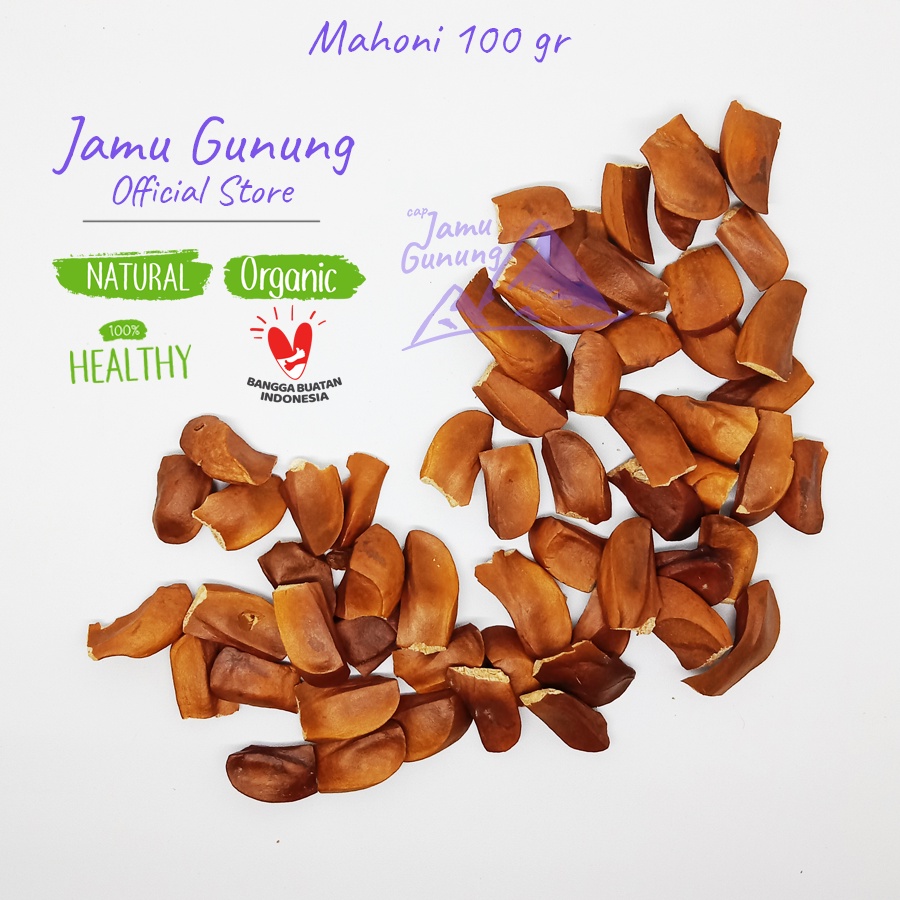 Jual Biji atau Buah Mahoni Kering 100gr Asli Hutan - Obat Diabetes ...