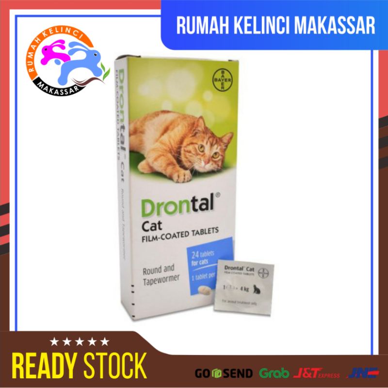 Jual DRONTAL CAT Obat Cacing Kucing Isi 1 Tablet | Shopee Indonesia