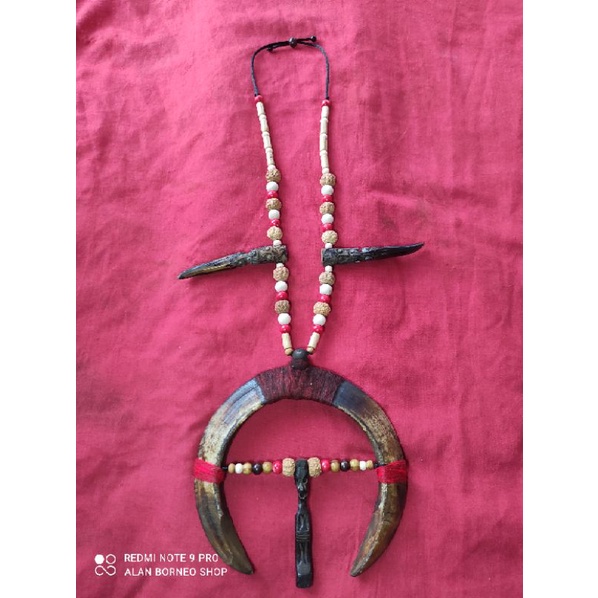 Jual Tarbi asli | Shopee Indonesia