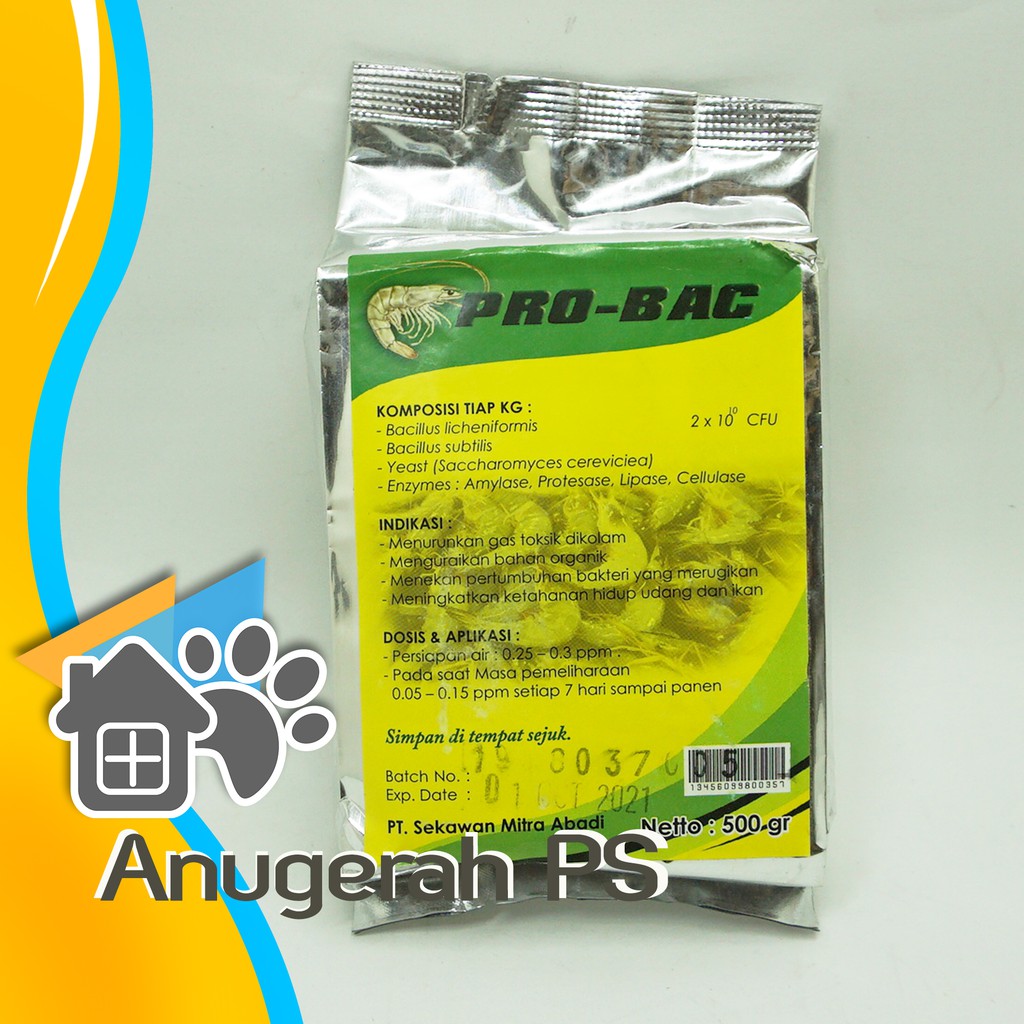 Jual PROBIOTIK BUDIDAYA IKAN PATIN NILA LELE PROBAC 500 GRAM | Shopee ...