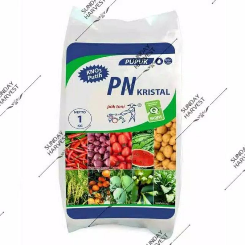Jual PUPUK POTASSIUM NITRAT (PN) KRISTAL (Netto 1KG) | Shopee Indonesia