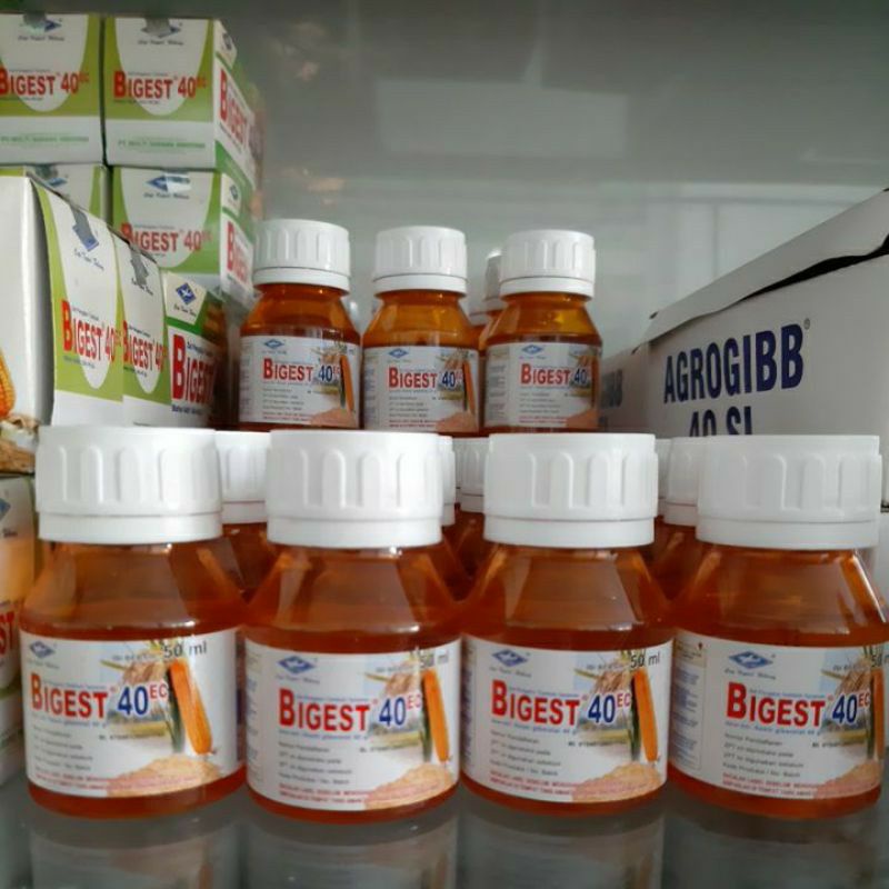 Jual BIGEST 40EC ( Zat pengatur tumbuh) ( G43 ) | Shopee Indonesia