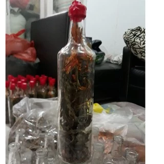 Jual Jamu Botolan Terlengkap & Harga Terbaru Maret 2026 | Shopee Indonesia