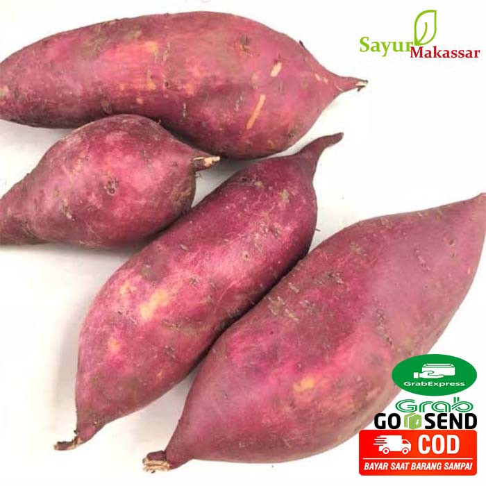 Jual Ubi Jalar putih 1 Kg/ Sayur Makassar | Shopee Indonesia