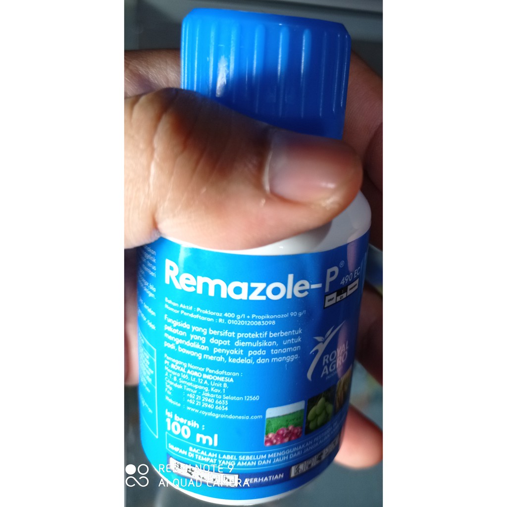 Jual Fungisida Remazole-p 100 ml (obat jamur pada tanaman) | Shopee ...