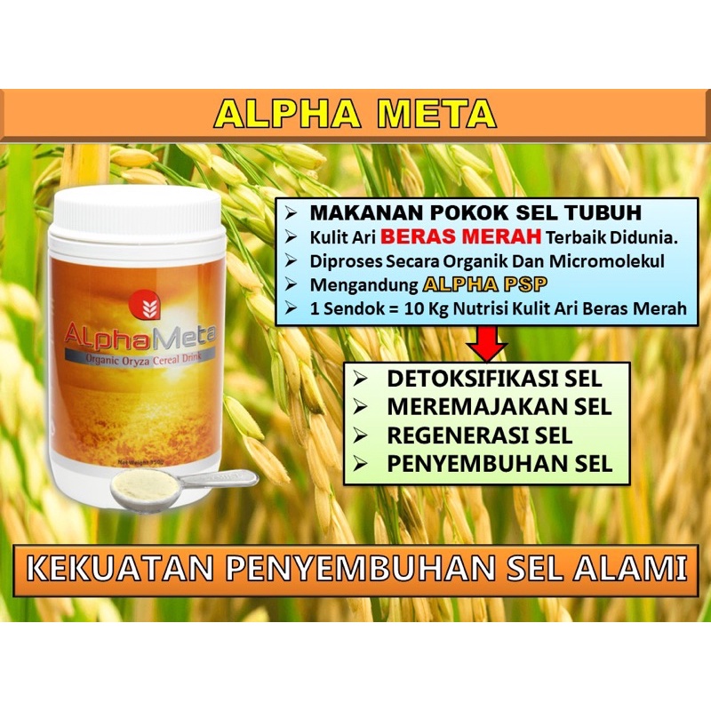 Jual Alphameta | Shopee Indonesia