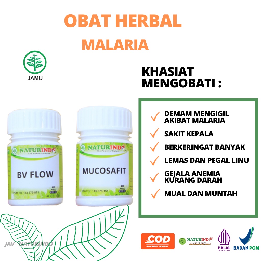 Jual Obat Malaria Demam Berdarah DBD Penambah Trombosit Cikungunya ...