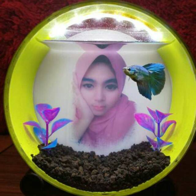 Jual Aquarium mini portable unik terbuat dari akrilik dan paralon type ...