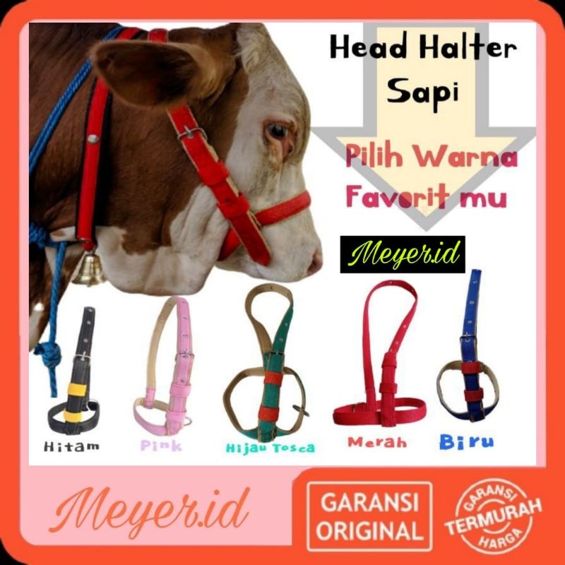 Jual [COD] HALTER SAPI ,KAMBING (WARNA) / BRANGUS SAPI - TERSEDIA UKURAN S, M, L, XL | Shopee ...
