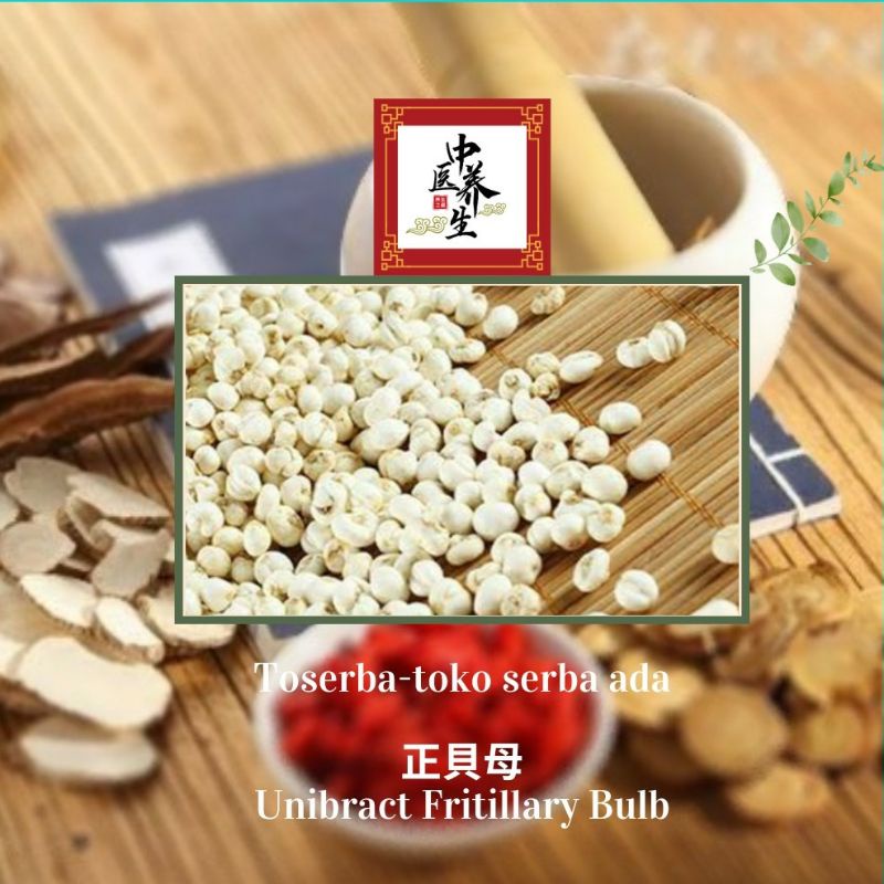 Jual 100gr herbal zheng bei mu premium grade jian bei mu unibract ...