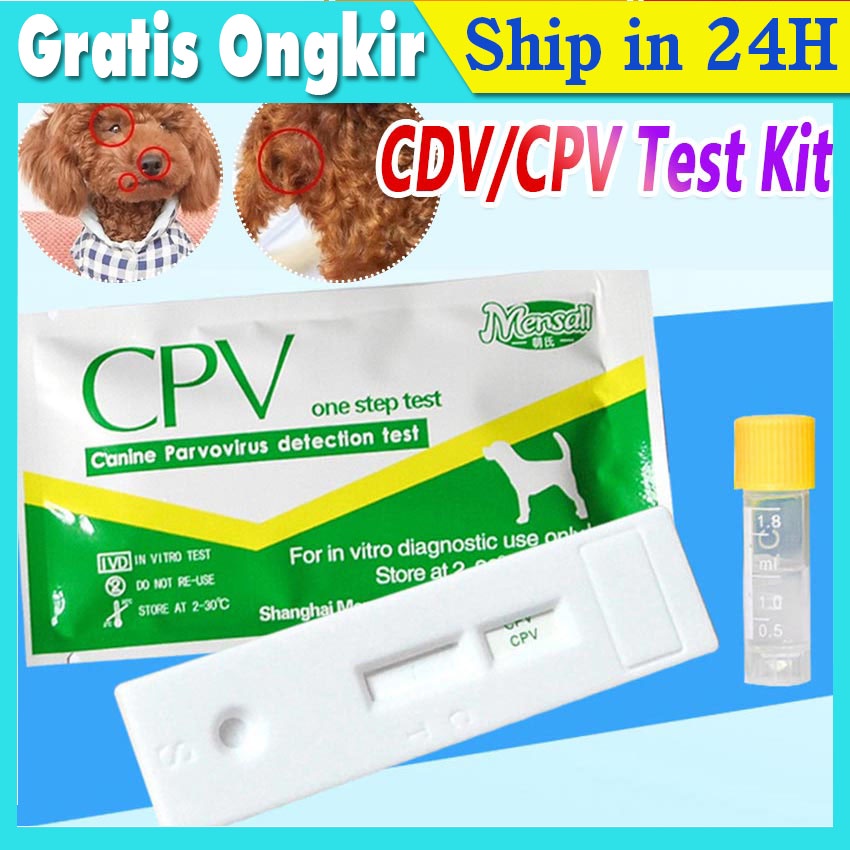 Jual Alat Test Kit Parvo Virus Canine Distemper Anjing CDV CPV | Shopee ... Jual Alat Test Kit Parvo Virus Canine Distemper Anjing CDV CPV | Shopee ...