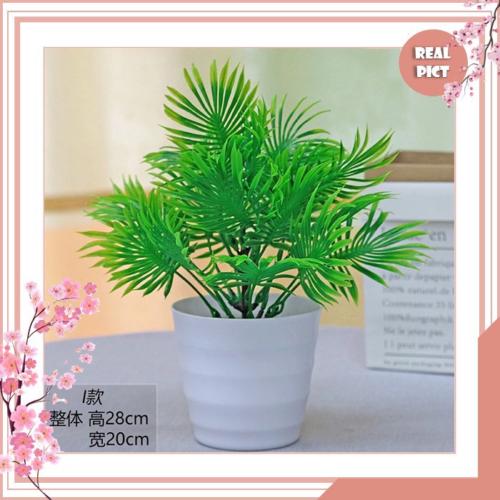 Jual UNICO Daun Palem Tanaman Hias Plastik Pot Bunga Artificial ...