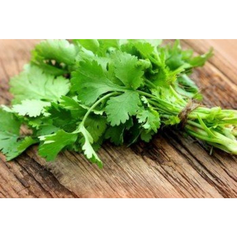 Jual Daun Seledri 100 gram | Daun Bawang Seledri 100 gr | Bumbu Masak ...