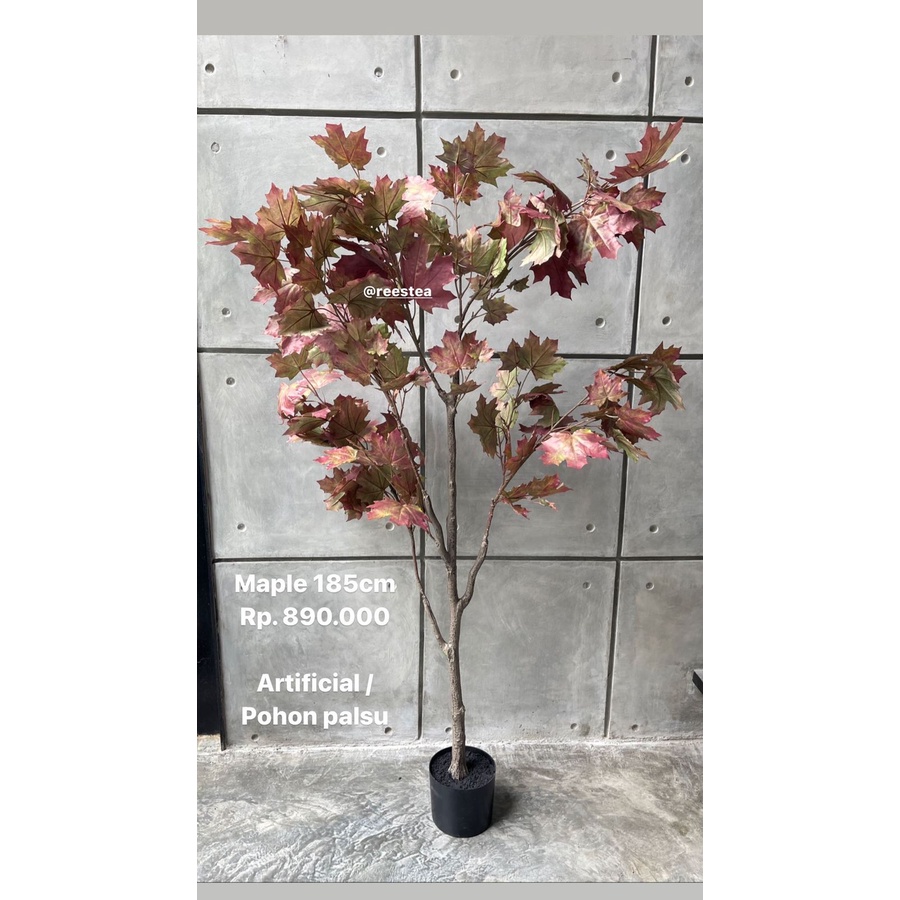 Jual Pohon Maple Tinggi 185cm / Pohon Hias Palsu/ Artificial plant ...