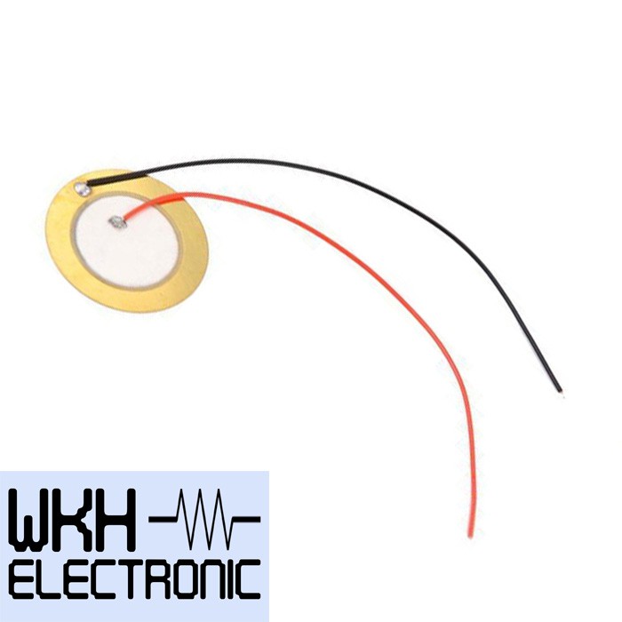 Jual Piezo 27mm Sounder Sensor Trigger Drum Disc with Wire Copper Piezo Elements 27 mm | Shopee ...