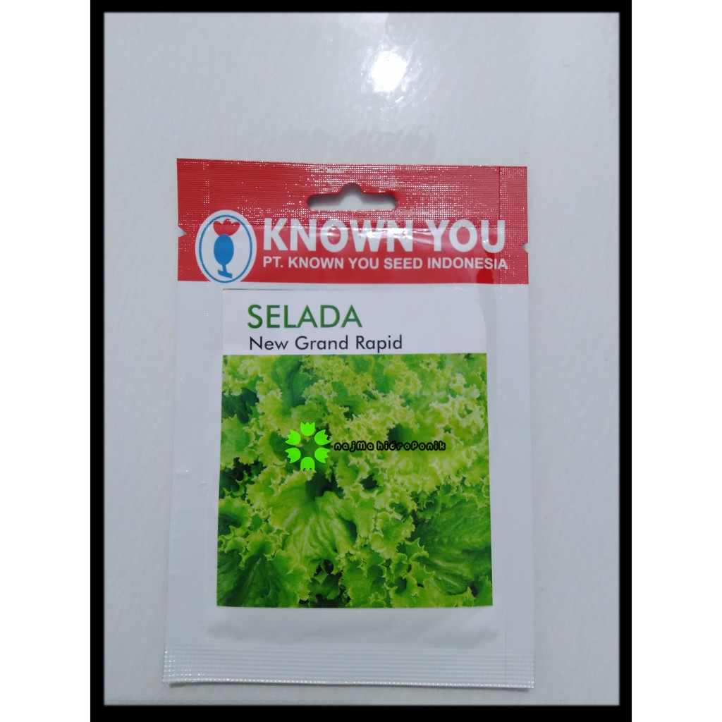Jual Benih Selada New Grand Rapid Pouch (Known You) | Shopee Indonesia
