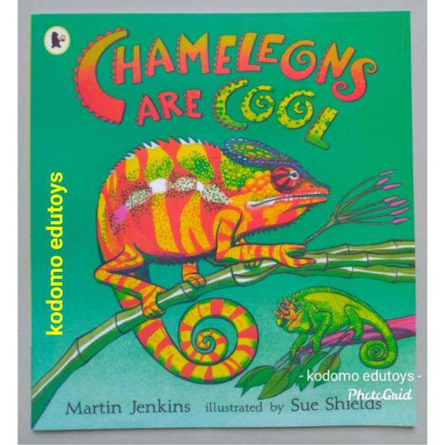 Jual Chameleons Are Cool by Martin Jenkins, Sue Shields | Shopee Indonesia