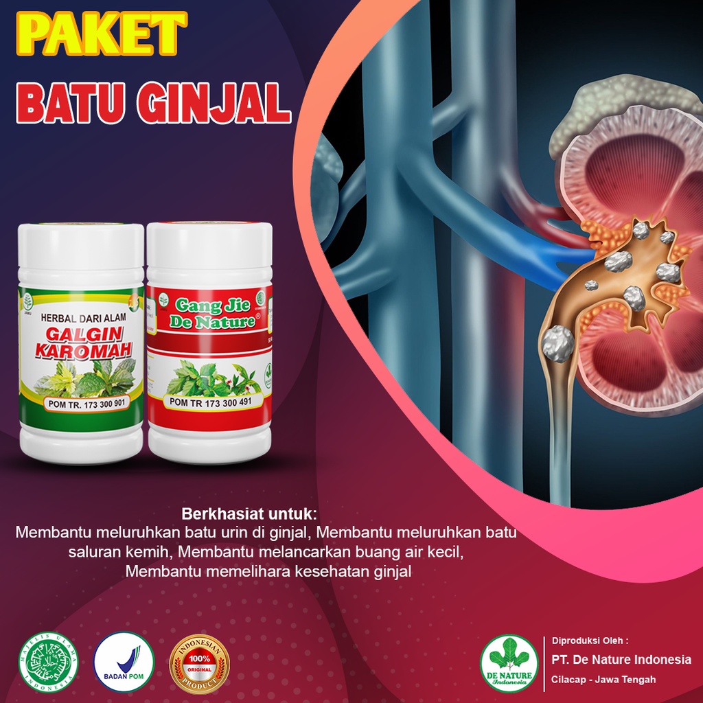 Jual Obat Batu Ginjal Herbal Kencing Batu Luruh Tanpa Operasi Gang jie Galgin De Nature | Shopee ...