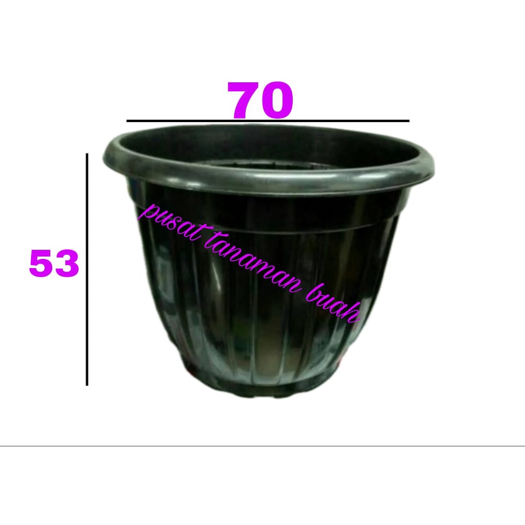 Jual POT BESAR 70CM / POT TANAMAN BESAR / POT BESAR HITAM / POT BESAR ...