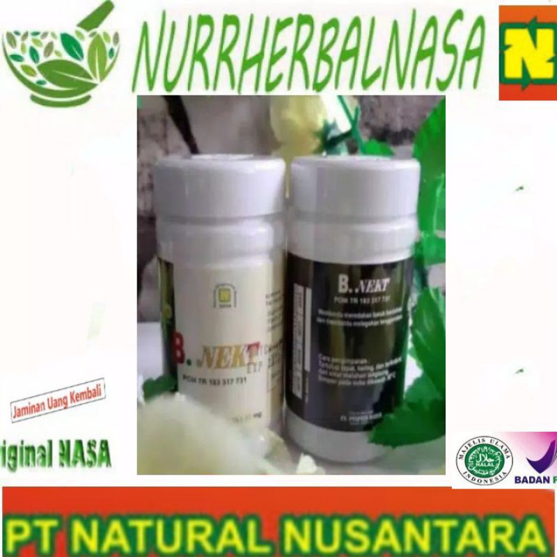Jual BENEKT obat paru paru herbal obat sesak nafas original nasa ...