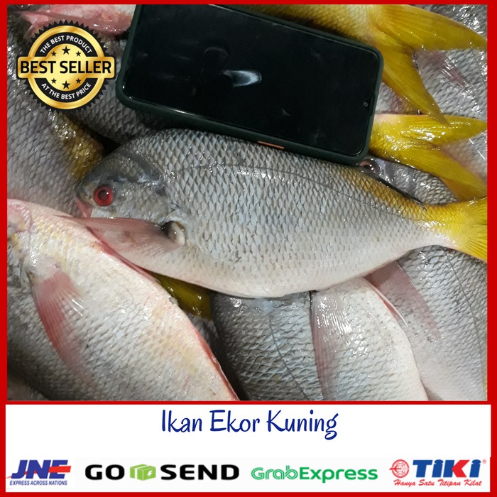 Jual IKAN EKOR KUNING SEGAR / IKAN SEGAR / FRESH FISH / FRESH SEAFOOD ...