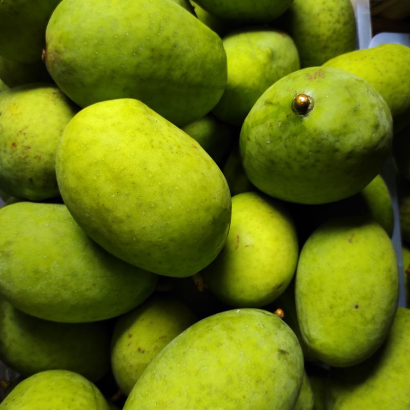 Jual mangga kweni fresh 1kg | Shopee Indonesia