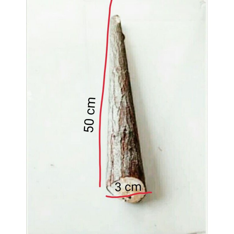 Jual Kayu Bidara Arab 50 Cm / Kayu Bidara Arab Asli / Kayu Bidara Arab ...