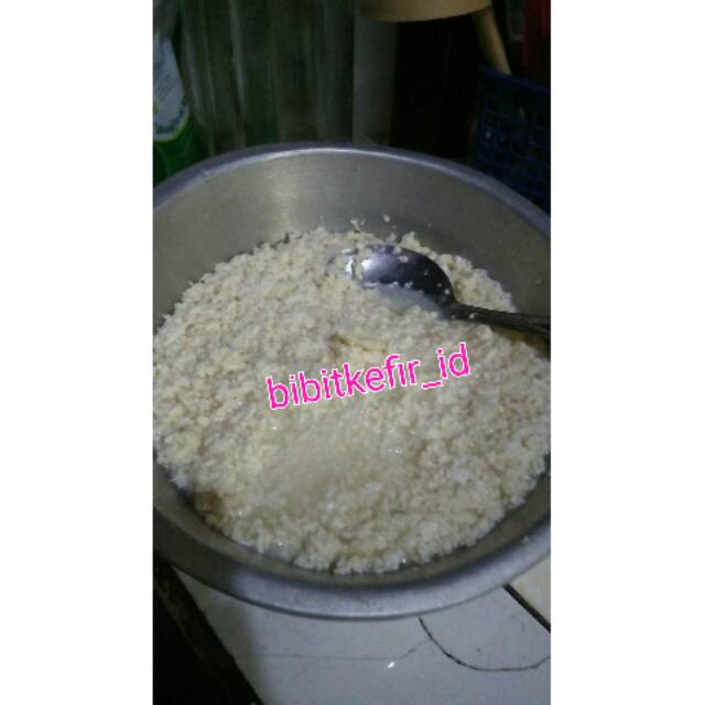 Jual BIBIT KEFIR 50 GRAM/ STARTER KEFIR | Shopee Indonesia
