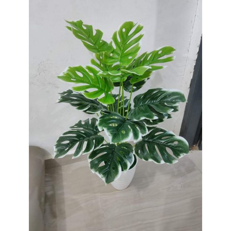 Jual Pohon Artificial Tanaman Palsu Daun Monstera Plastik Dekorasi 70cm ...