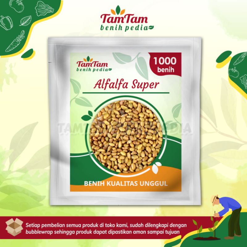 Jual Benih alfalfa super pakan ternak (isi 1000 benih) | Shopee Indonesia