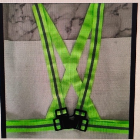 Jual rompi tali safety belt merk bsafe Cartonan | Shopee Indonesia