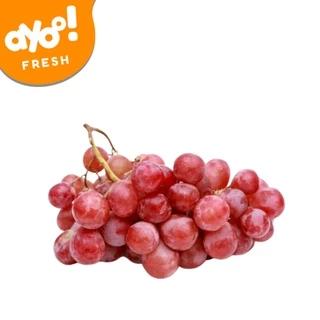 Jual Anggur 1 Kg Terlengkap & Harga Terbaru Mei 2024 | Shopee Indonesia