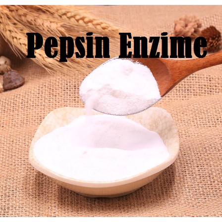 Jual Enzim pepsin kemasan 100g / ENZIME PEPSIN | Shopee Indonesia