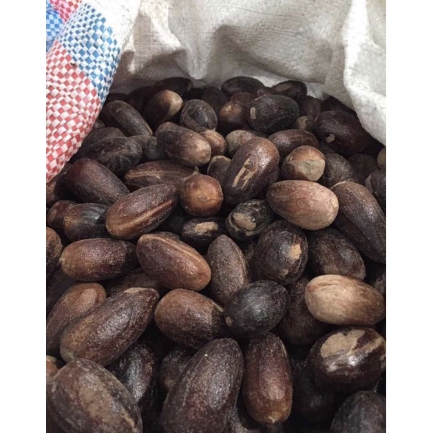 Jual Biji pala/500g/BIJI PALA LONJONG KWALITAS SUPER/ kocak Lonjong ...