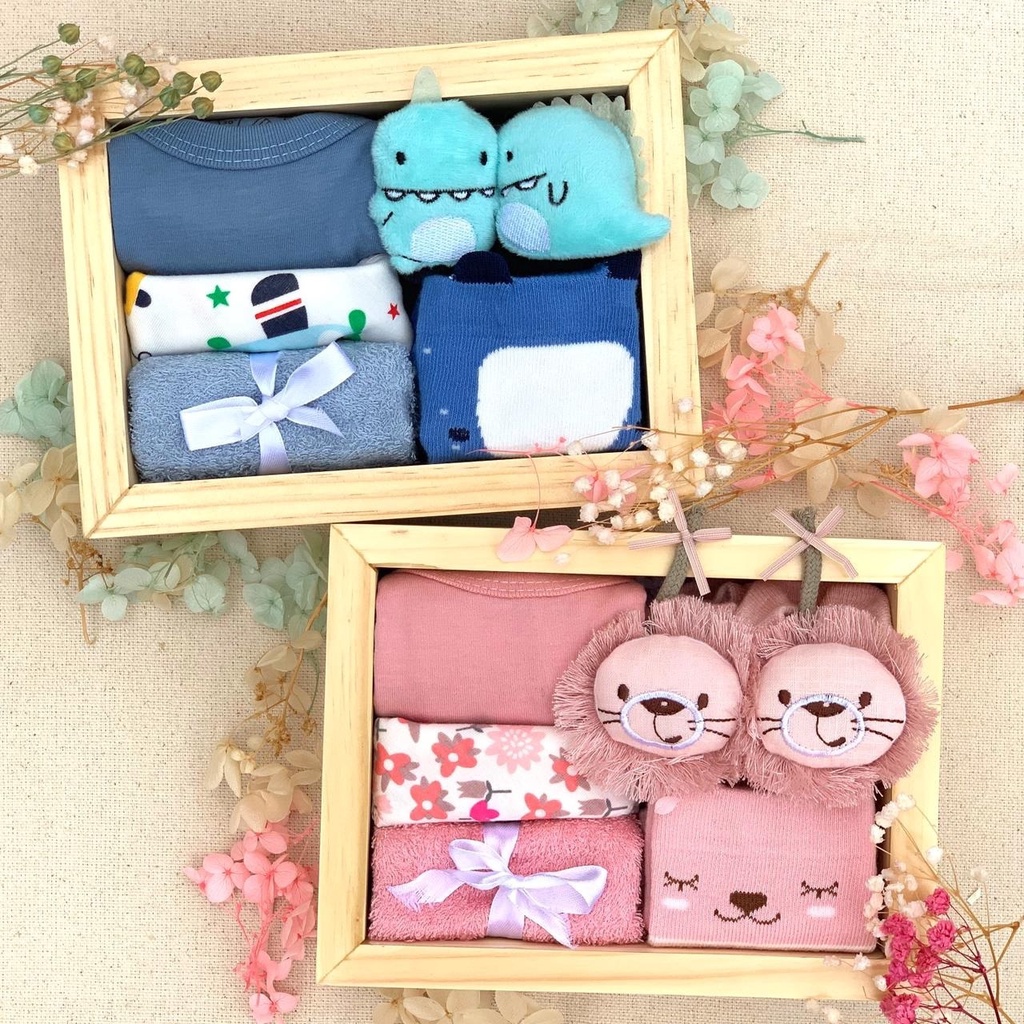 Jual LILLEGIFTS Mini Hampers Bayi Kado Lahiran Baby Boy Girl Newborn ...