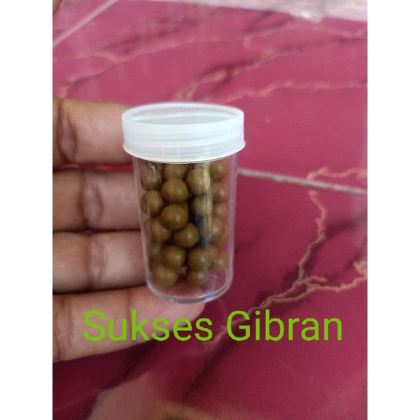 Jual Pil racikan tradisional Montok payudara asli alami isi 50 butir ...