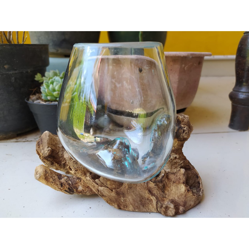 Jual PAKET LENGKAP TERRARIUM AQUARIUM AKAR KAYU/AQUARIUM IKAN CUPANG ...