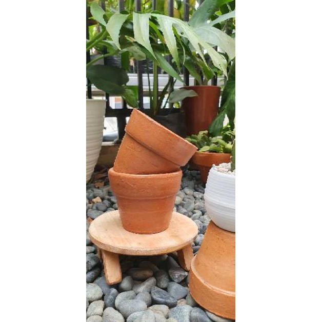 Jual Mini Tanaman Hias Dengan Adenium Pot Tanah Tokoiis88 | Shopee ...
