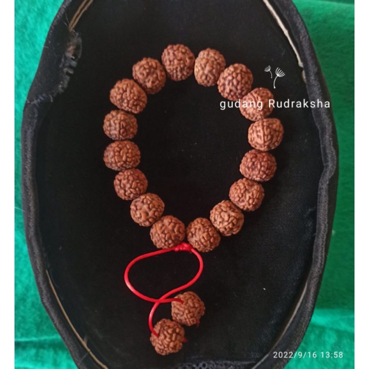 Jual buy 1 get 1 gelang jenitri coklat alami | Shopee Indonesia
