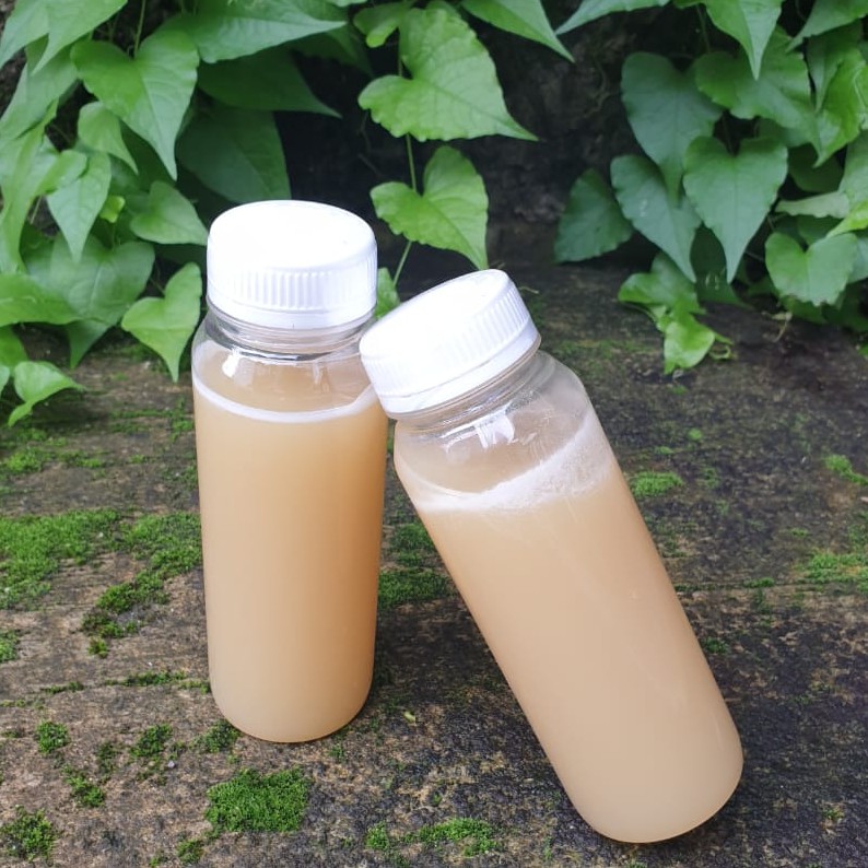 Jual Madu Putih Dompu Curah Kemasan 300gr | Shopee Indonesia