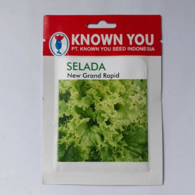 Jual Benih Selada NEW GRAND RAPID Produk Known You Seed isi 5 gram | Shopee Indonesia