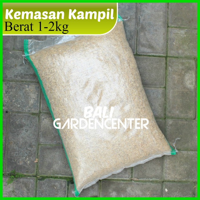 Jual Media Tanam Sekam Padi Sekam Mentah - Kulit Padi | Shopee Indonesia