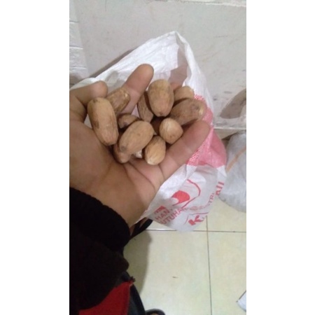 Jual BIJI PALA LONJONG 1000gr/1kg | Shopee Indonesia