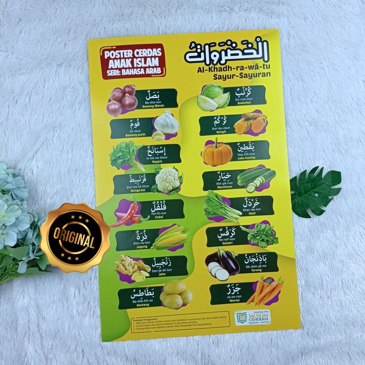 Jual Poster Sayur Sayuran | Shopee Indonesia