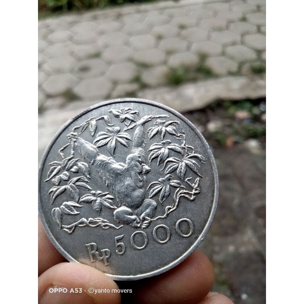 Jual koin 5000 original perak 1974 asli bank Indonesia bahan perak ...