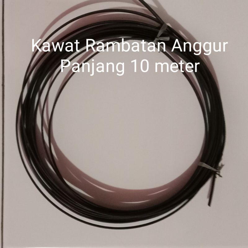 Jual Kawat Rambatan Tanaman Anggur Murah Harga per 10 meter atau 5 ...