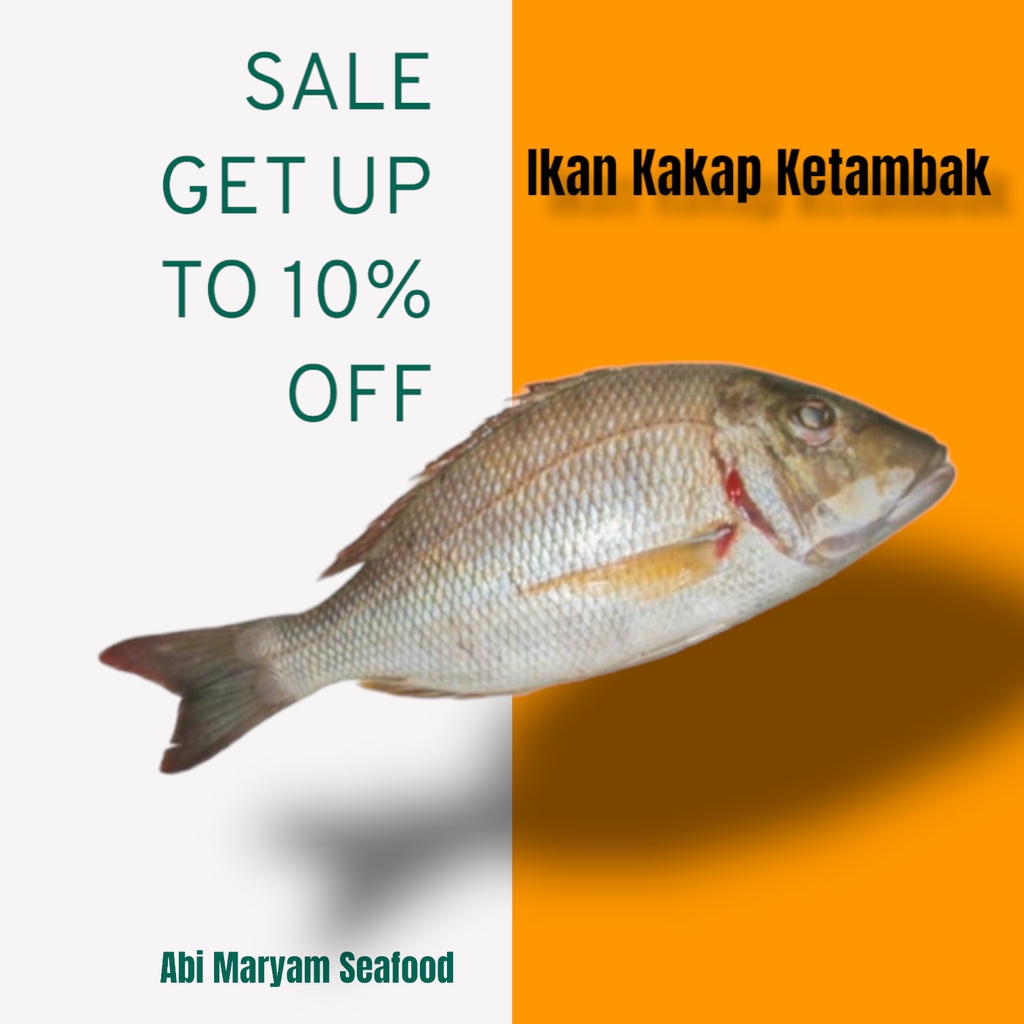 Jual Ikan Kakap Ketambak Fresh Berkualitas 1kg | Shopee Indonesia