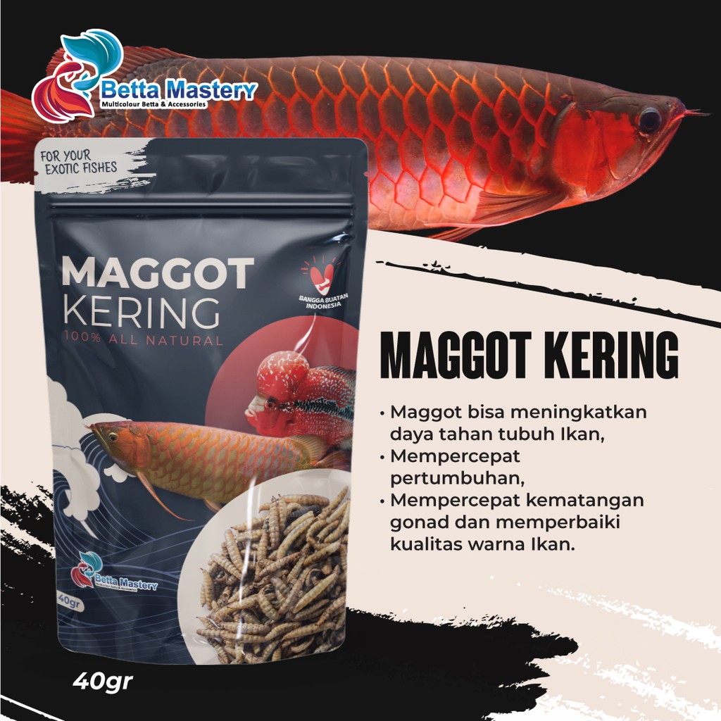 Jual MAGGOT KERING BSF GRADE A FISH FOOD MAKANAN IKAN LOUHAN ARWANA ...