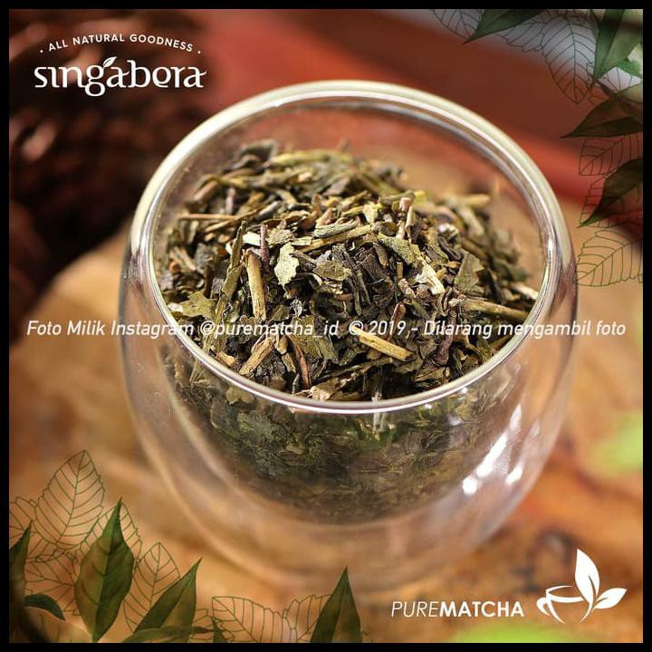 Jual Singabera - Marapi Houjicha 1Tb Sample Teh Hijau Sencha Greentea ...