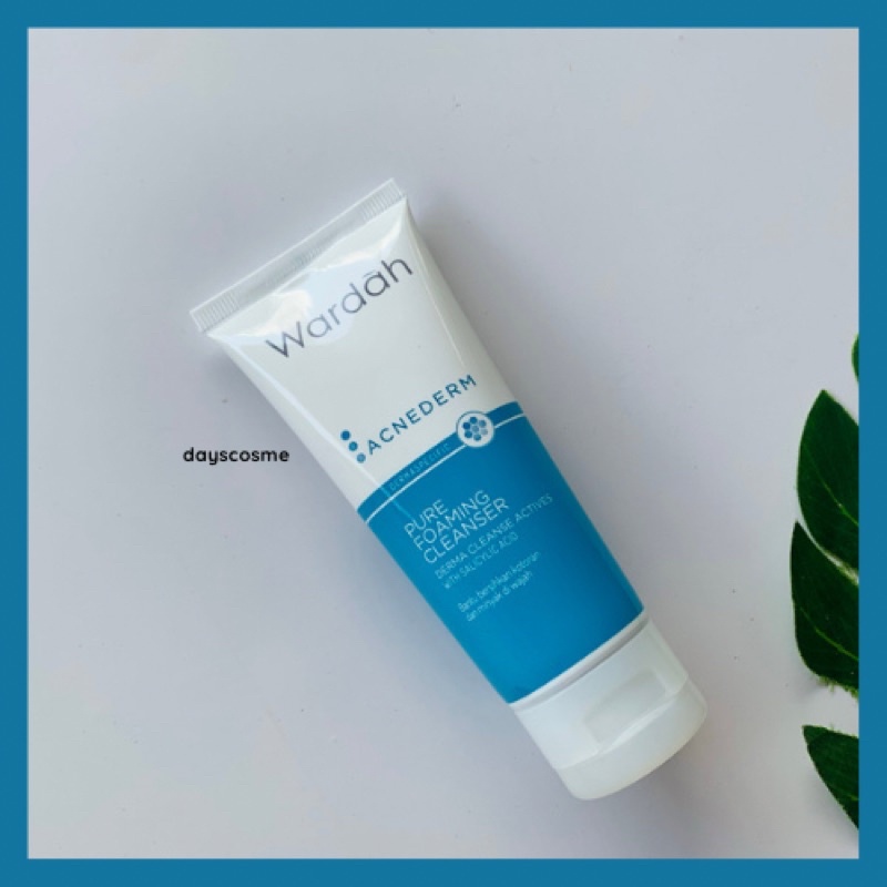Jual WARDAH ACNEDERM PURE FOAMING CLEANSER / WARDAH FACIAL WASH ...